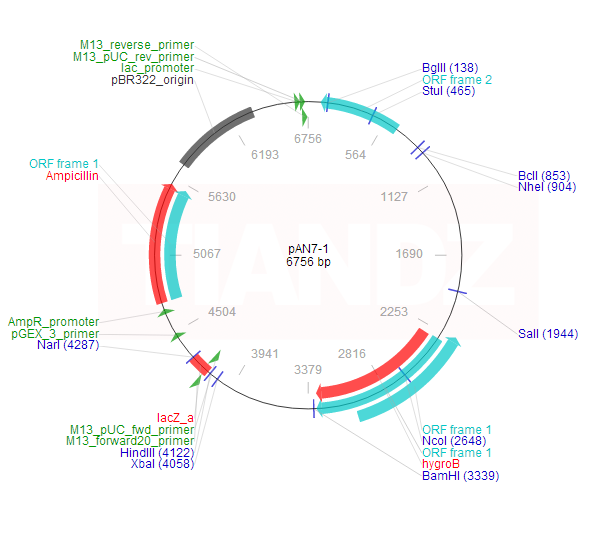pAN7-1(pAN71)价格,详情介绍-960化工网 – 960化工网