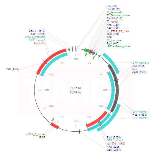 pET-11c(pET11c)价格,详情介绍-960化工网 – 960化工网