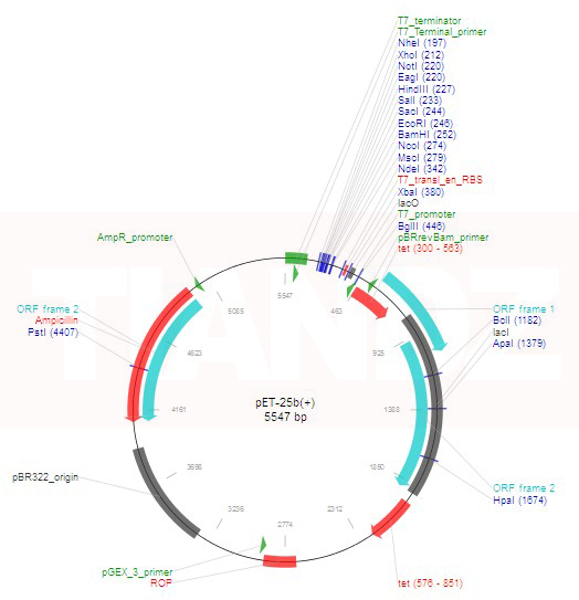 pET-25b(+)价格,详情介绍-960化工网 – 960化工网