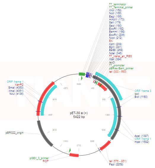 pET-30a(+)价格_品牌:LMAI Bio-丁香通官网