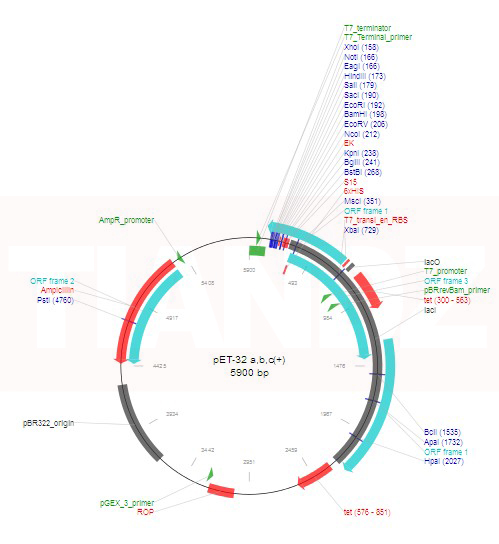 pET-32a(+)(pET32a)价格,详情介绍-960化工网 – 960化工网