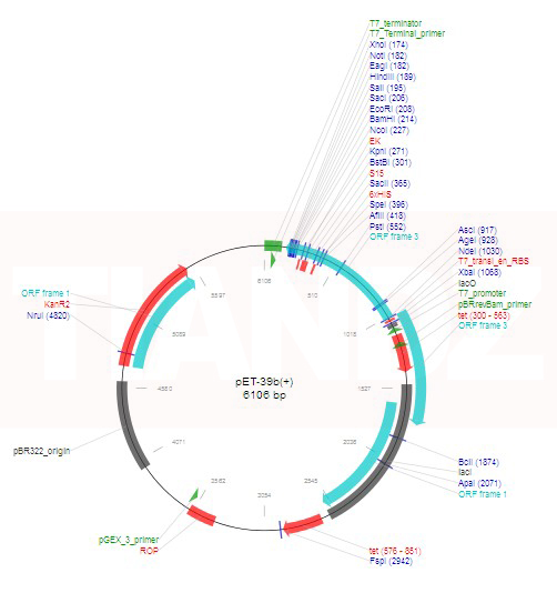 pET-39b(+)价格,详情介绍-960化工网 – 960化工网