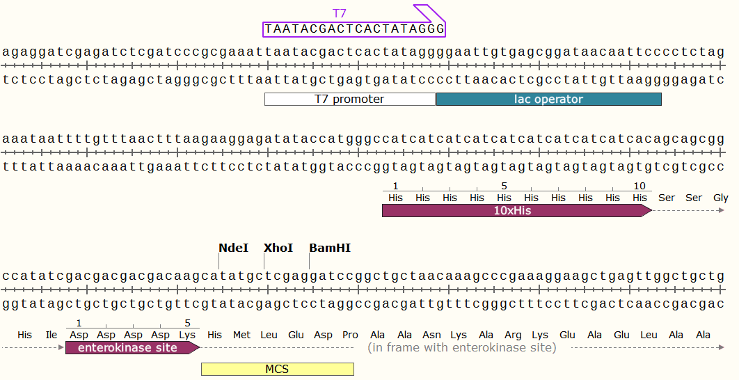 pET-19b(pET19b)(60908-2781)价格,详情介绍-960化工网 – 960化工网